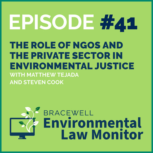 Stream The Role of NGOs and the Private Sector in Environmental Justice ...