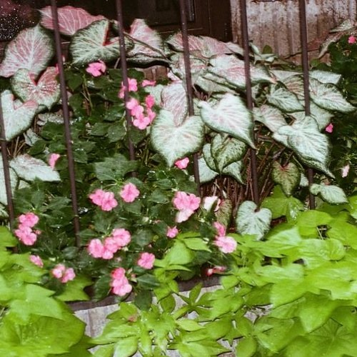 Listen to playlists featuring Beat 167 (sax Fx Dnb Rework) by Sad Hug ...