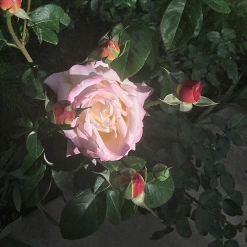 Stream Walk In Cash Out by MAGE BEATS | Listen online for free on ...