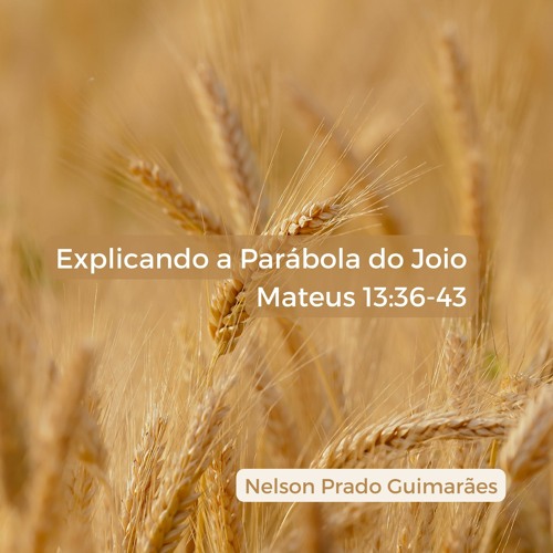 Stream Explicando a Parábola do Joio - Mateus 13:36-43 by Canções da ...