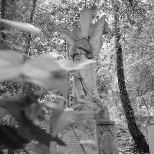 Stream Yesterday Shelf (ft. Ian Wadley) by David Zucchi | Listen online ...