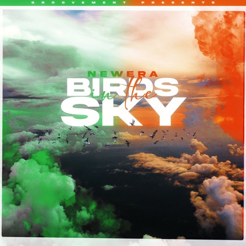 New Era - Birds In The Sky (Ryan Ennis Remix) - Listen to music
