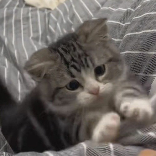 Stream Simon Egner | Listen to phonk 😈 playlist online for free on ...