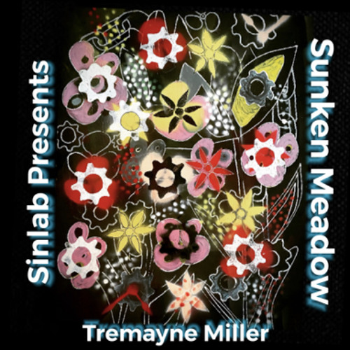 Stream Sunken Meadow (Tremayne Miller and the Night Kitchen Sinfonia ...