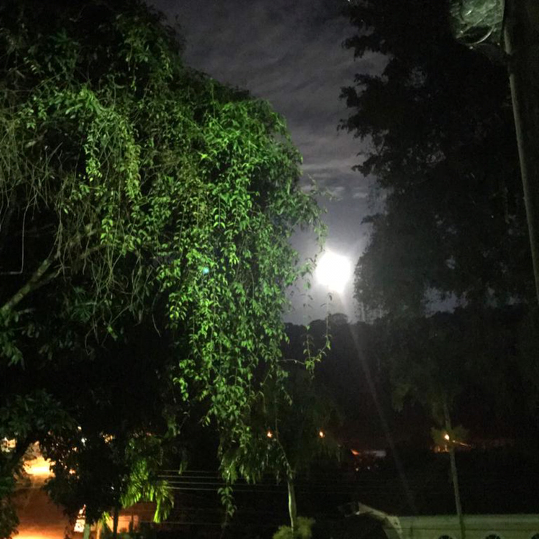 Stream PAPS - Ela Quer Entrar na Iron Maiden (prod. Kid Axl) by PAPS ...