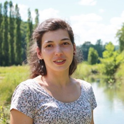 Stream Un projet innovant : le cuir de poisson by Julie Taisse | Listen ...