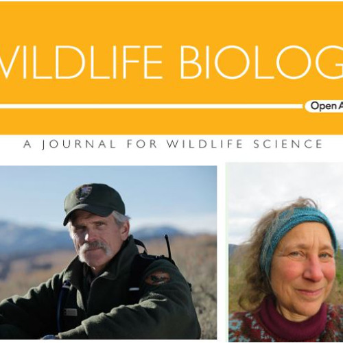 Stream Wolves Across Borders by Wildlife Biology | Listen online for ...