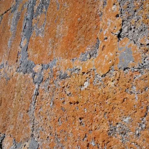 Stream episode KAPSIL #9: "Tout saw dwe konnen sou Covid19 la" by PANOS ...