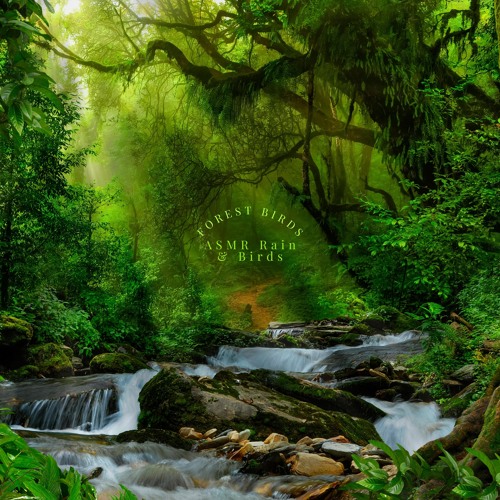 Stream The Rainforest Sounds Loopable By Asmr Rain And Birds Listen