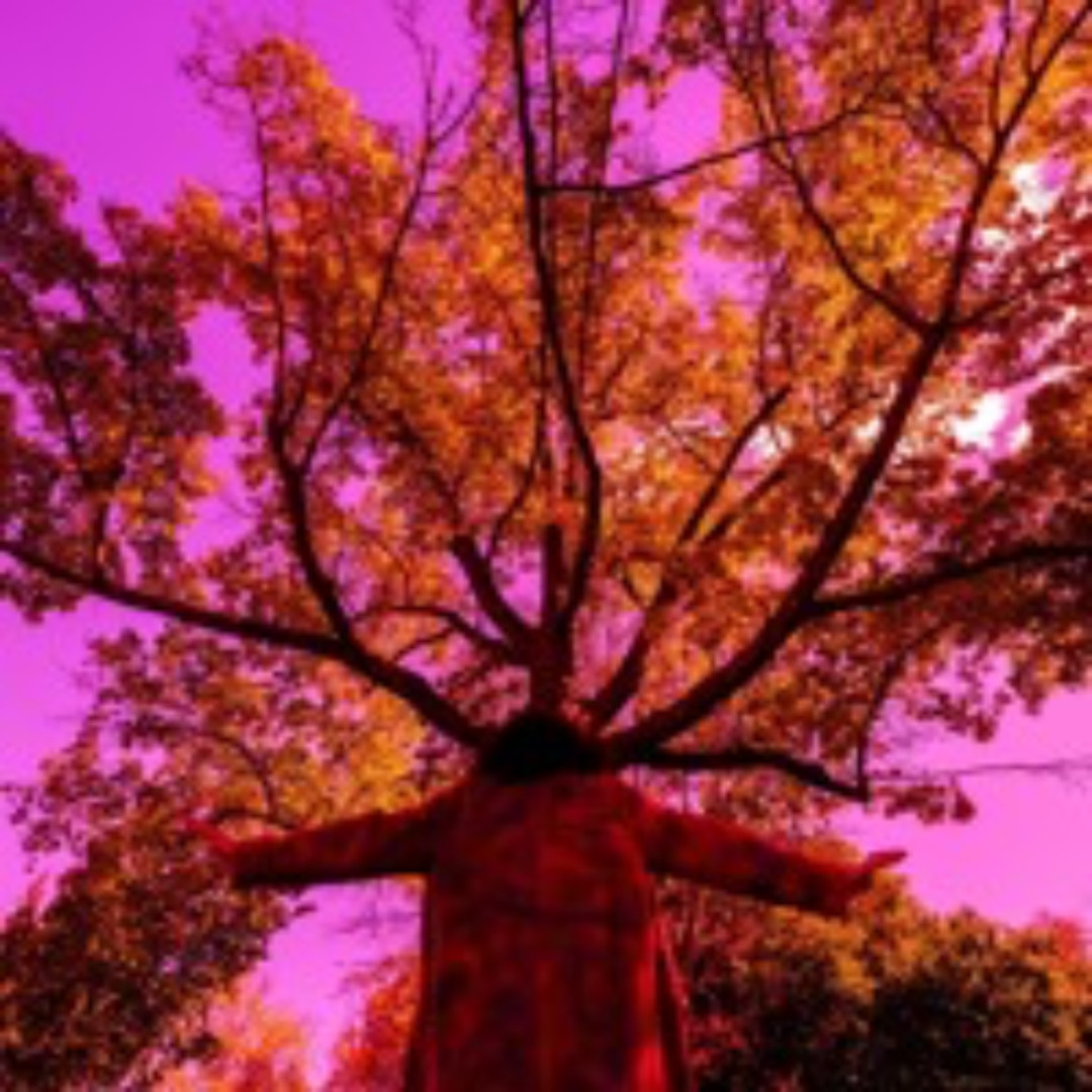 Stream New God by Harry Springer | Listen online for free on SoundCloud