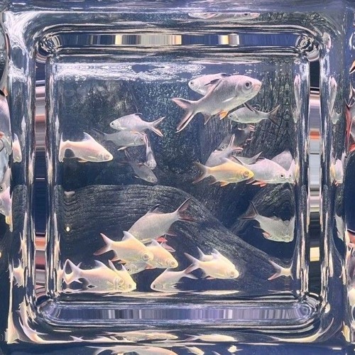 Stream 2000s computer room playlist by ethy877 | Listen online for free ...