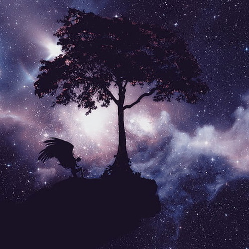 Stream Soar Away by Lado X (old account) | Listen online for free on ...