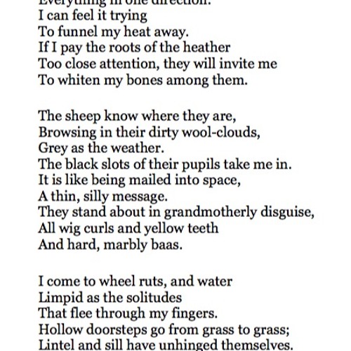 Listen to music albums featuring 480 Wuthering Heights by Sylvia Plath ...