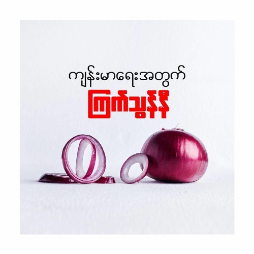 Stream “ကျန်းမာရေးအတွက် ကြက်သွန်နီ” By Myaelatt Athan Listen Online