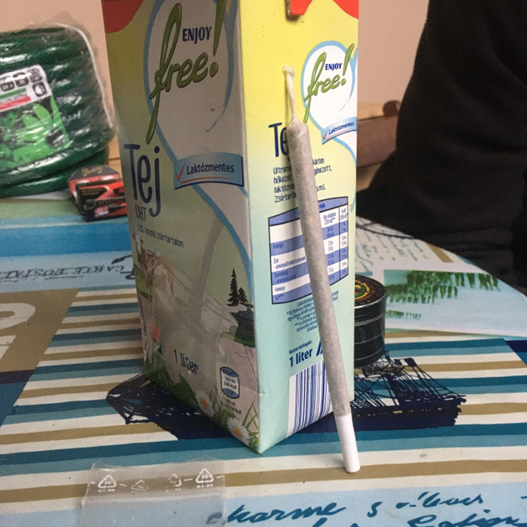 Stream Sheesh Sound Effect Meme - TIKTOK COMPILATION 2.mp3 by gomoryyy ...