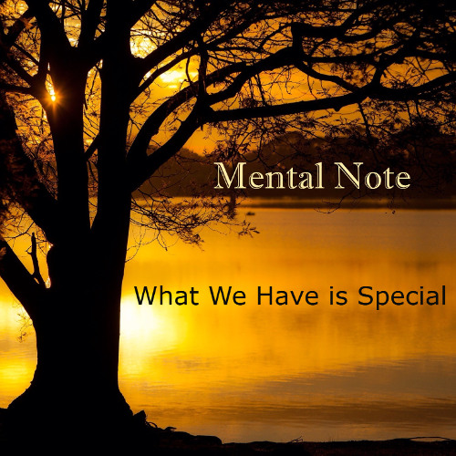 Stream What We Have is Special by Mental Note | Listen online for free ...