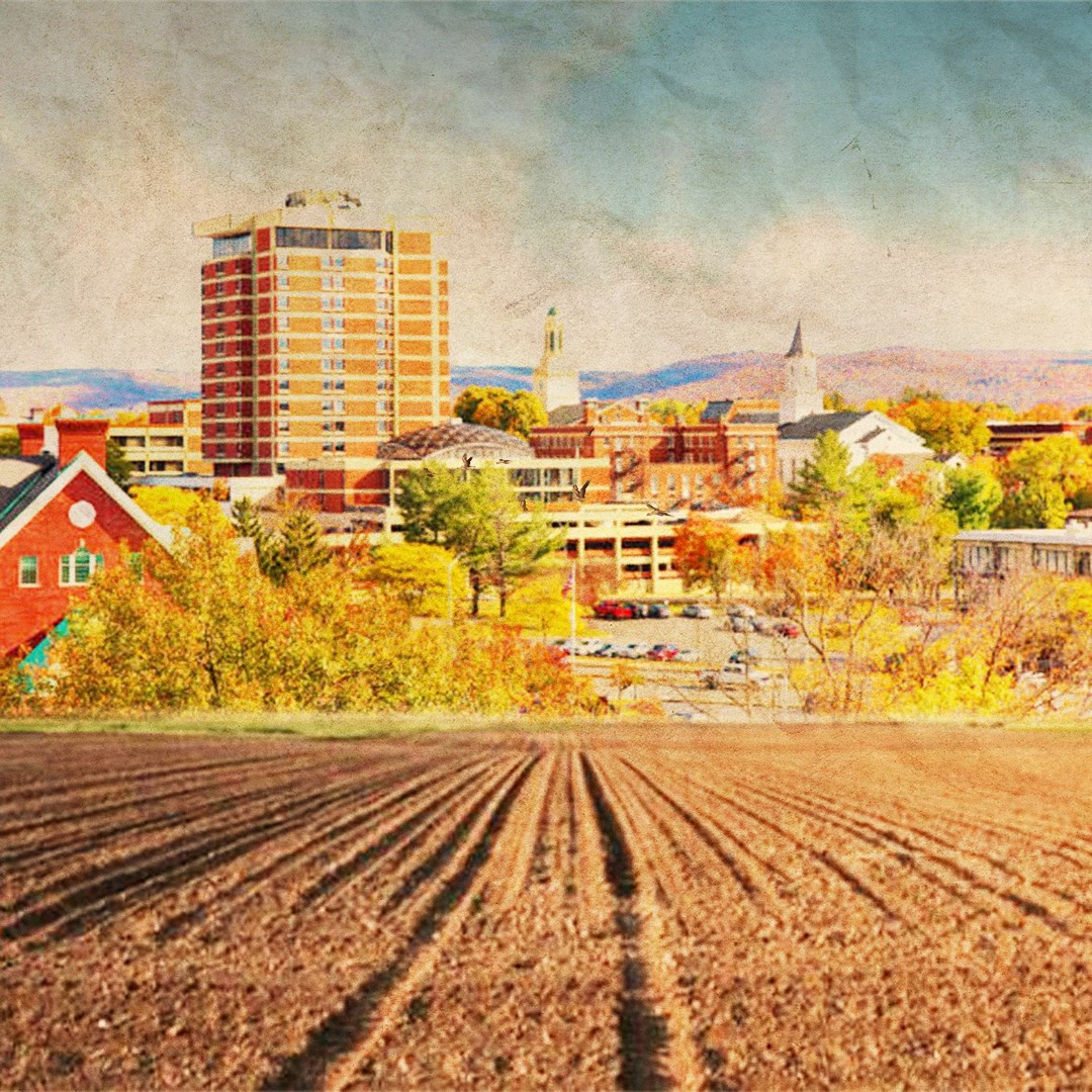 Stream JustSam | Listen to Harlow Road playlist online for free on ...