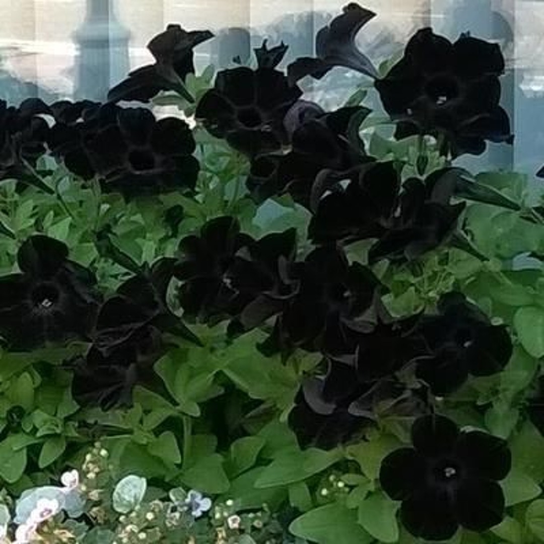 Stream Ultra - Changbin Solo Performance @ DominATE World Tour by ...