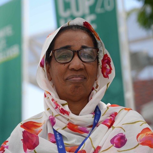 Stream Dr Hanan Magzoub Rabbah, PR of Sudan with WMO, at COP28 by World Meteorological ...