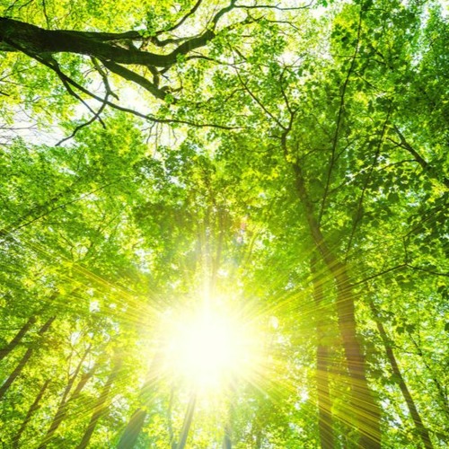 Stream Erlija Gäte - Rigël Theatre by DoeZeo | Listen online for free ...