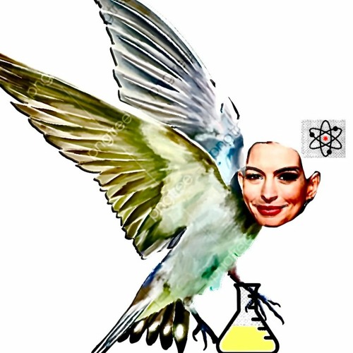 Stream anne hathaway the chemistry bird ft. the cooch by sarahcha ras ...