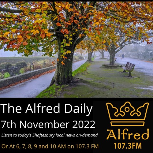 Listen to music albums featuring Alfred Daily 7th November 2022 by This ...
