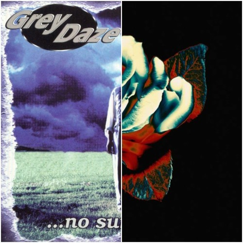 Stream Nicholas Pierson | Listen to The Down Syndrome/The Syndrome ...