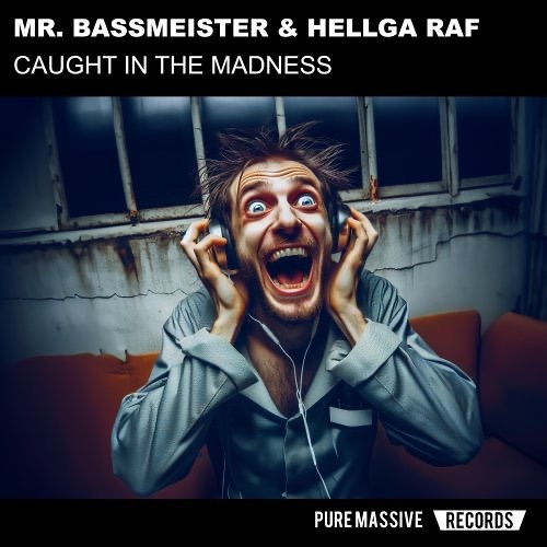 Stream Caught In The Madness - Mr. Bassmeister & Hellga Raf by Mr. Bassmeister | Listen online ...