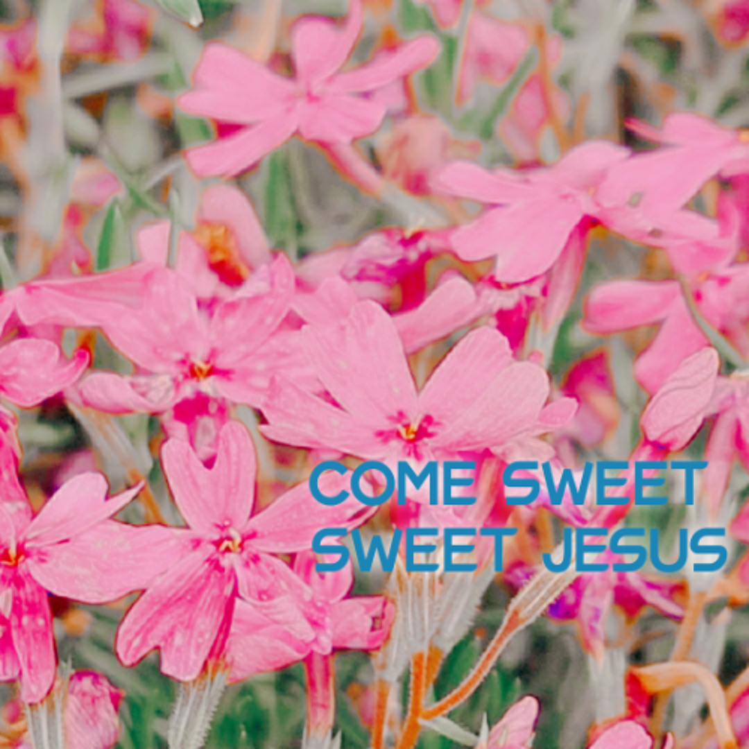 Stream COME SWEET SWEET JESUS (Guitar Ver.) by PRASE TO THE LORD ...