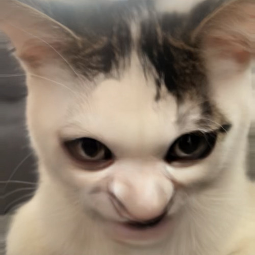 Stream iddkhavey | Listen to W57CH H34 CK3Y playlist online for free on ...