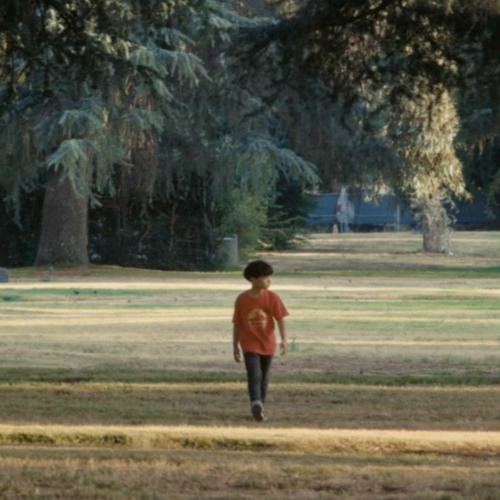 Stream Walking in the Graveyard by Alex Wakim | Listen online for free ...