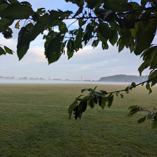 Stream Forest Rave 24 3am set by Ivan Isakov 1 | Listen online for free ...