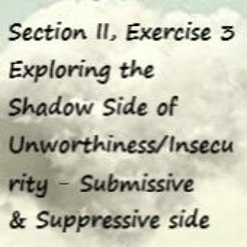 Stream Section II, Exercise 3 - Q1 - Exploring the Shadow Side of ...