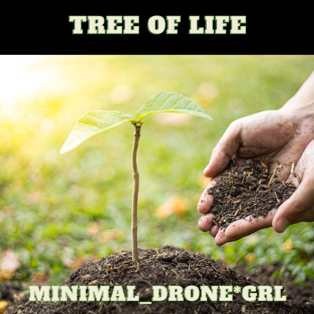 Stream Tree Of Life by Minimal_Drone*GRL | Listen online for free on ...