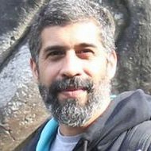 Stream Ingacio Gasparri - La Deforestación En Argentina by NEA HOY ...