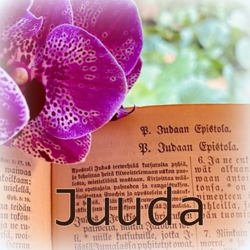 Stream Hanna-Maria | Listen to Juuda Biblia 1776 playlist online for ...