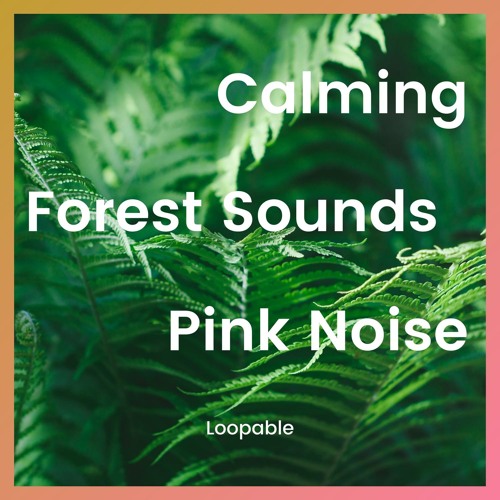 Stream Calming Forest Sounds with Pink Noise, Loopable by Forest Sounds ...