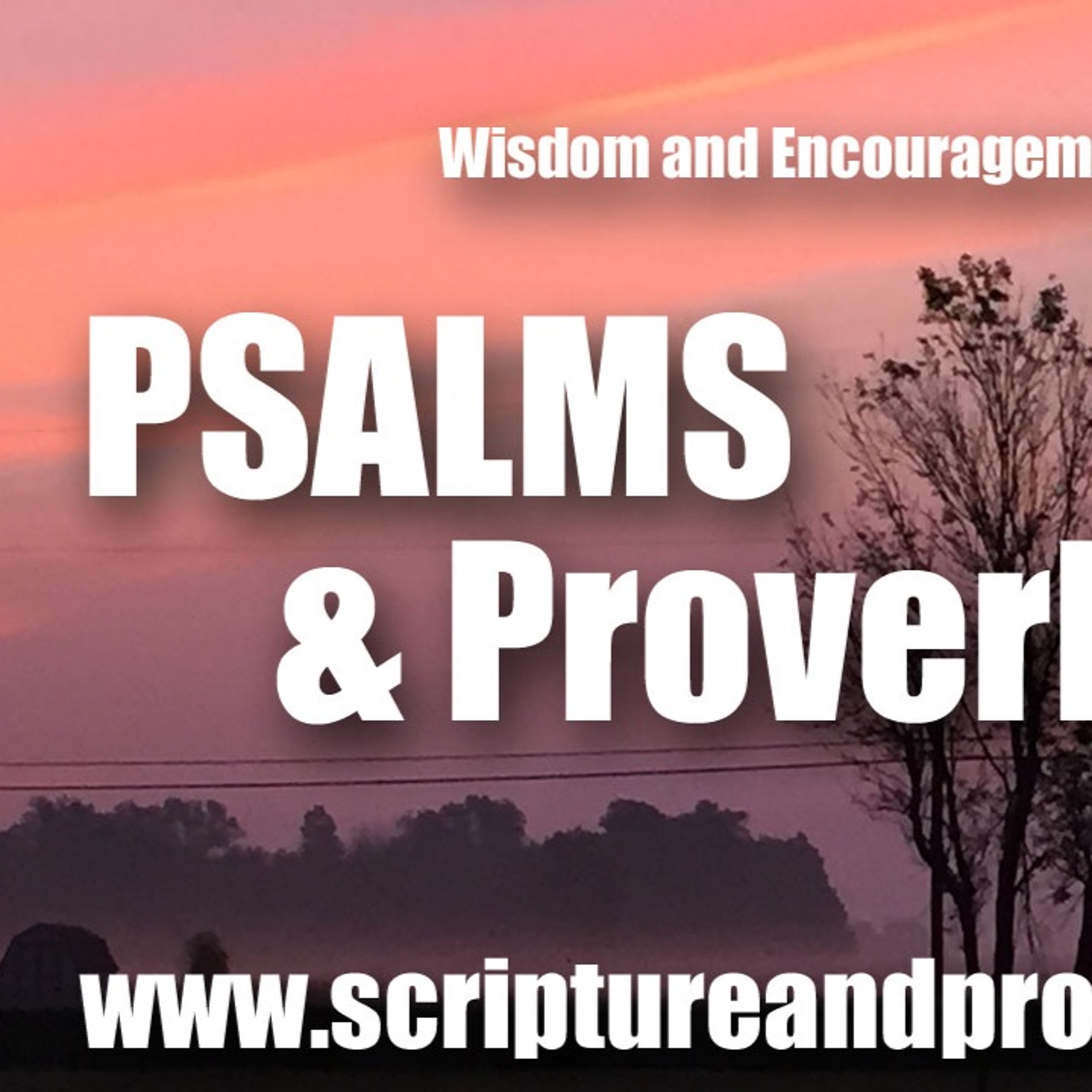 wisdom-from-psalm-140-141-proverbs-1-they-hated-knowledge-and-did