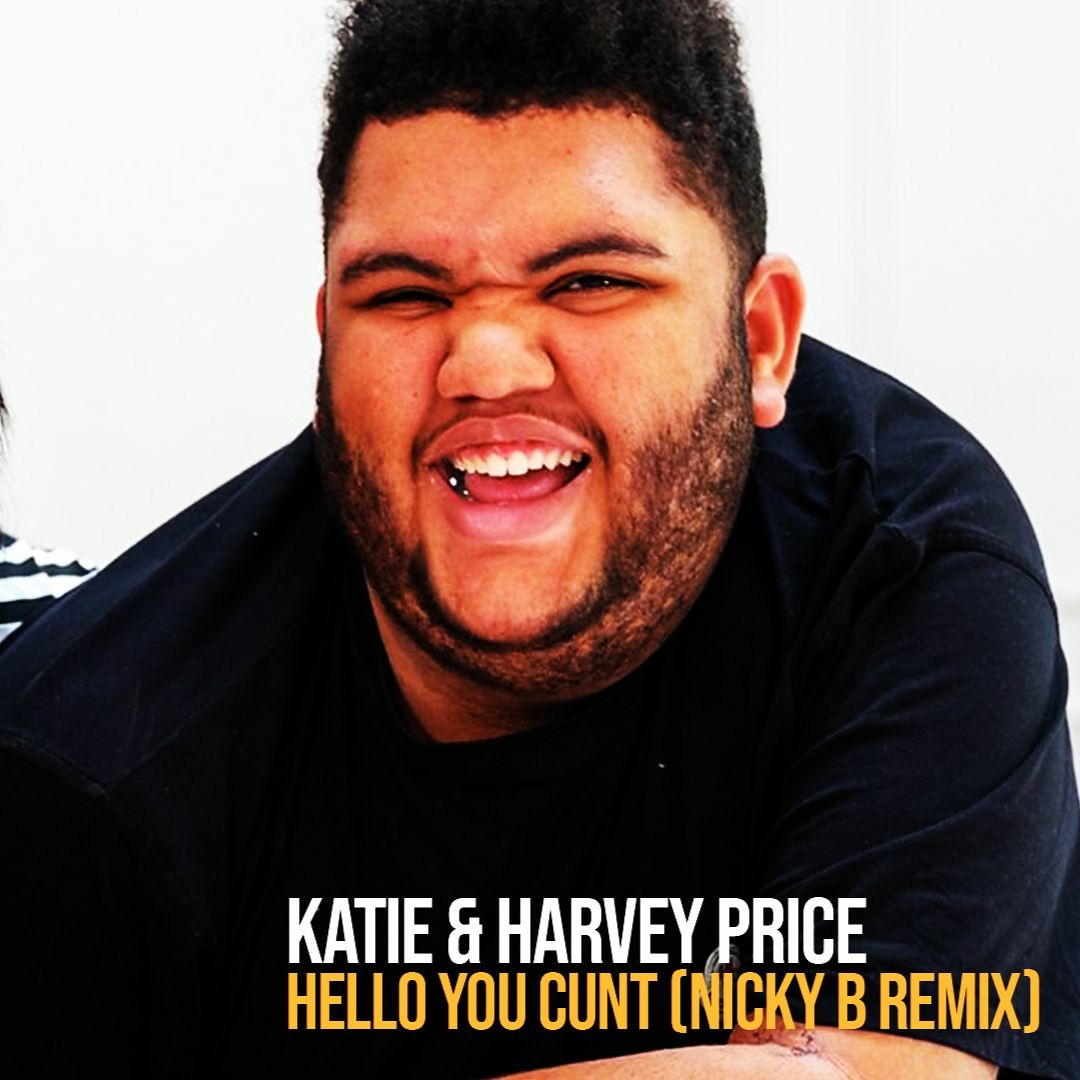 Stream Harvey Price - Hello You Cunt (Nicky B Remix) by Nicky B ...