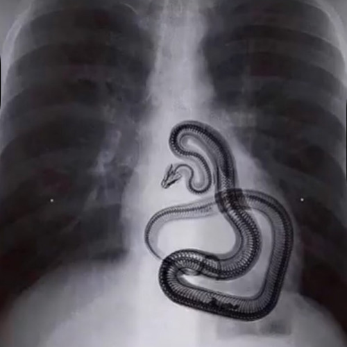 Stream o | Listen to okaymar playlist online for free on SoundCloud