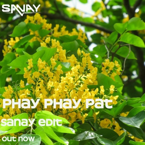 Stream Phay Phay Pat ( Sanay Edit) by Sanay | Listen online for free on ...