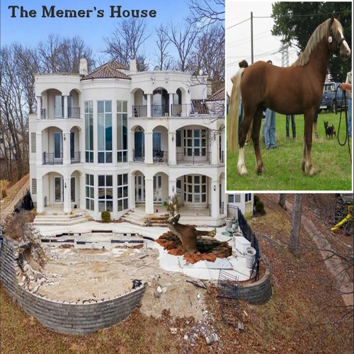 Stream The Memer | Listen to The Memer's House pt 1 playlist online for ...