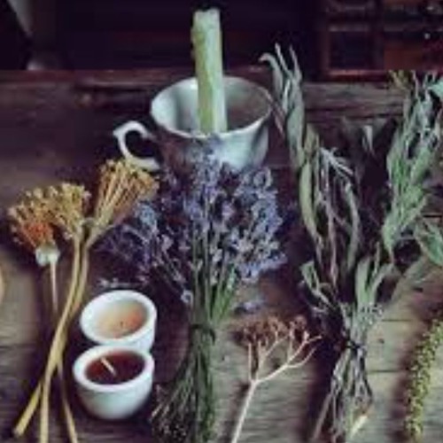 Stream White Nose sample by Amy Schlagel by Sarah Lawrence Radio | Listen online for free on ...