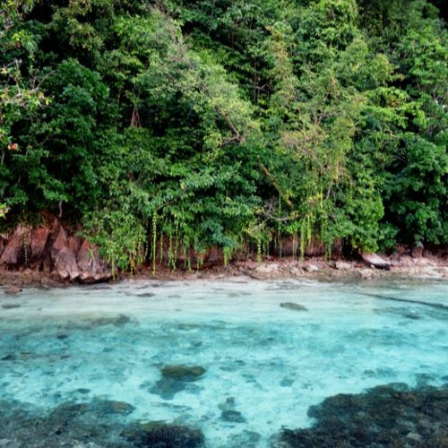Stream Ora Beach, Sawai Bay, Pulau Seram, Maluku, INDONESIA by wild ...