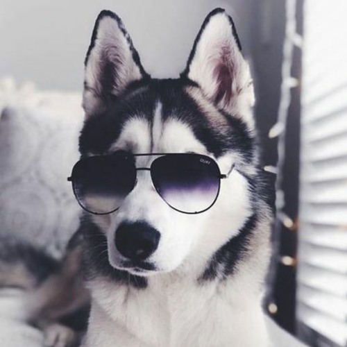 Stream Just Practicing 002 - Techno by Husky by Husky (CO) | Listen ...