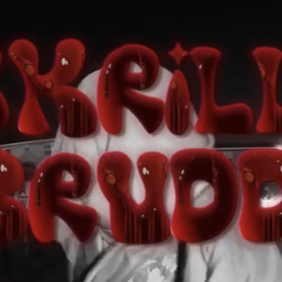 Stream Skrilla - Brudda👨🏾‍🔬 ( Ring Camera ) by NotToBeHeard👨🏾‍🔬 ...