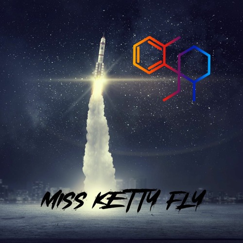 Stream Miss Ketty Fly (Chakramin x i.D & Brushman Mashup) by ...