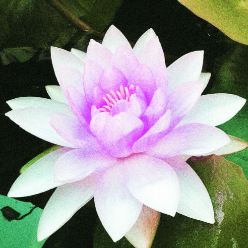 Stream Marli Slick | Listen to SENSUAL SUREALISM playlist online for free on SoundCloud