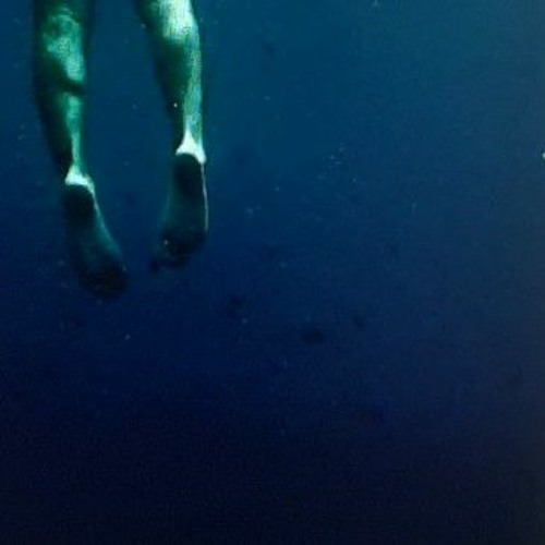 Stream peter/Taylor swift by "please enter your name" | Listen online ...