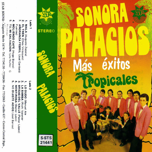 Stream La Bamba by Sonora Palacios | Listen online for free on SoundCloud